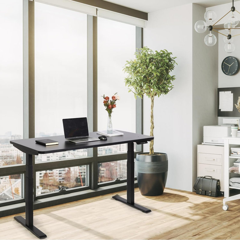 55 27.5 Height Adjustable Electric Standing Desk With Storage Sit Stand Desk